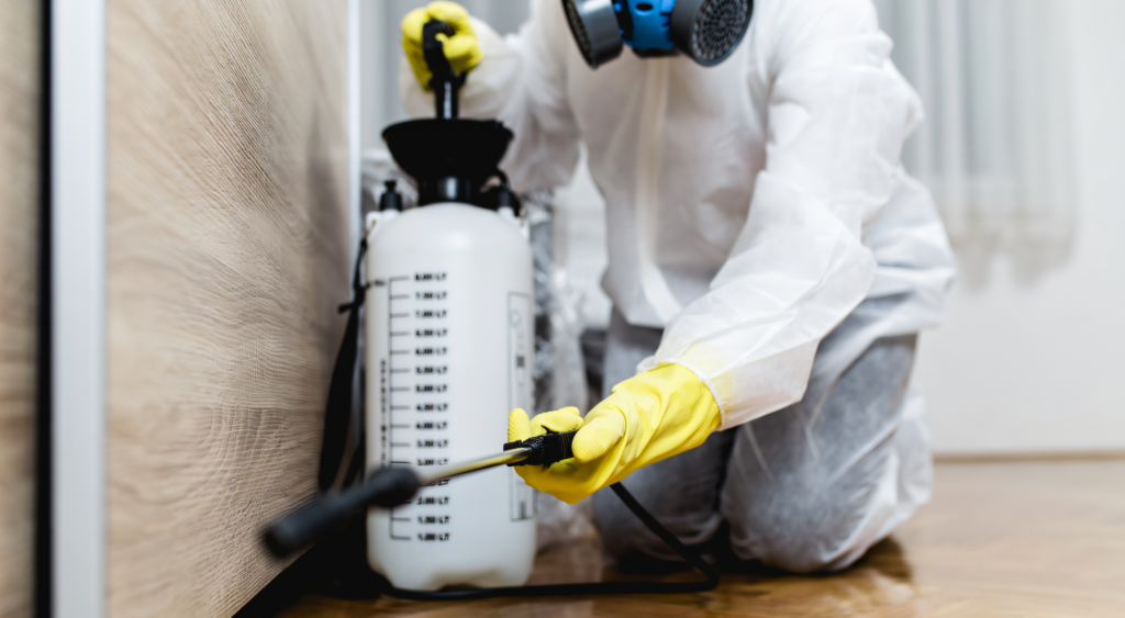 The Qualities of a Top-Notch Pest Control Technician in Zimbabwe